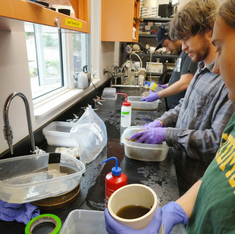 Current Research Opportunities - Environmental & Life Sciences - Trent ...