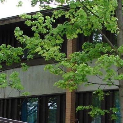 Peterborough Residences - Housing - Trent University