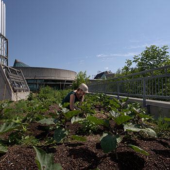 Sustainability Office - Trent University